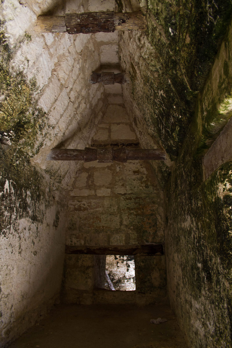 Inside Mayan Ruins