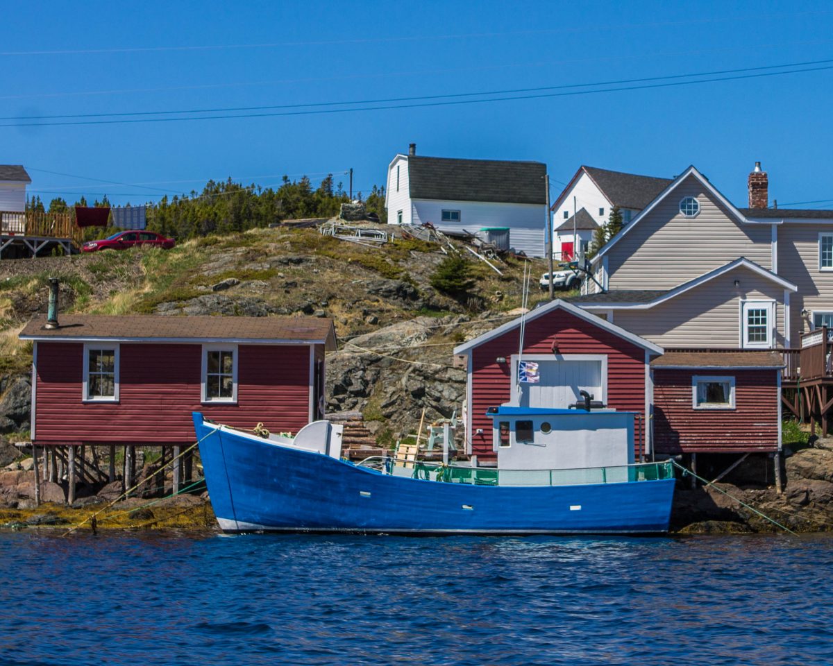 Up Close and Personal with Icebergs in Twillingate - Wandering Wagars